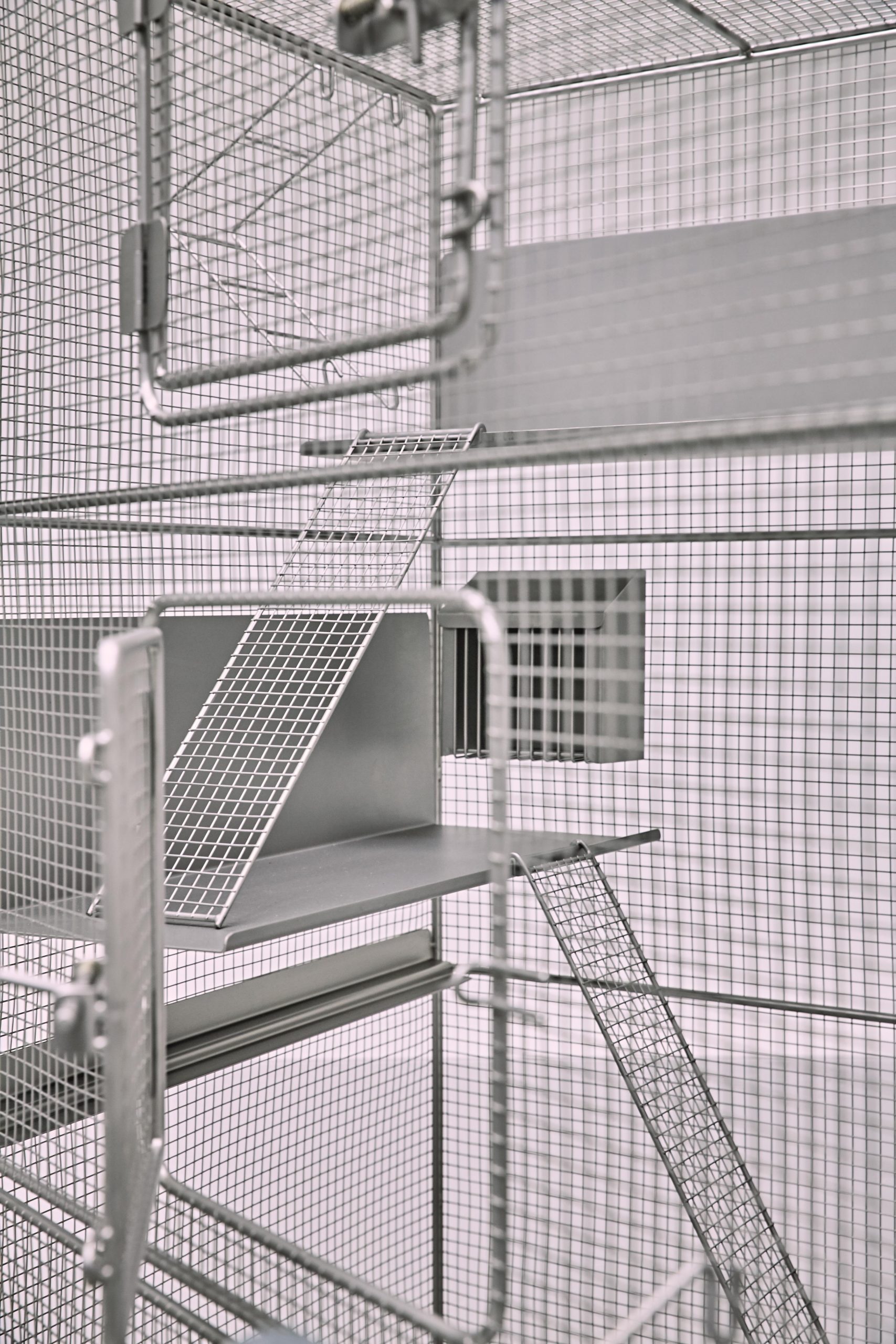 References/Solutions - ZOONLAB